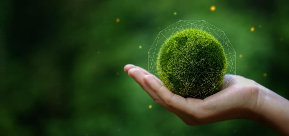 Eco-Friendly 3D Printing: Sustainable Materials and Practices for a Greener Future – 3D Mag