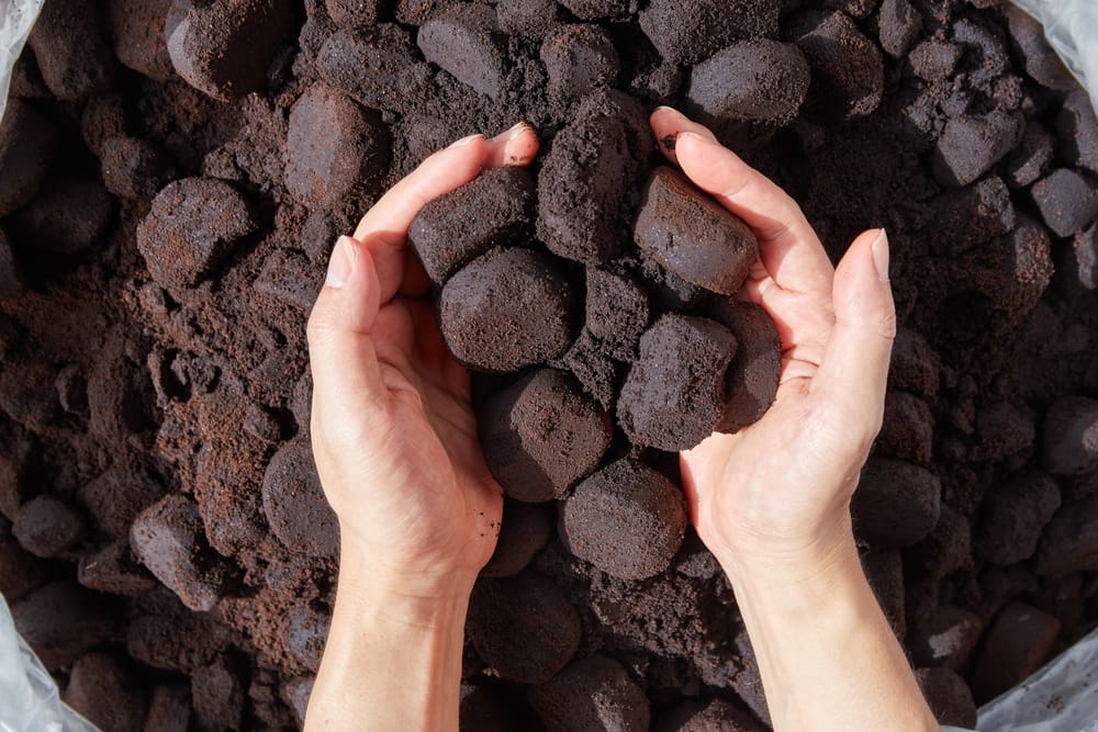 3D printing with recycled coffee grounds: a sustainable innovation – 3D Mag