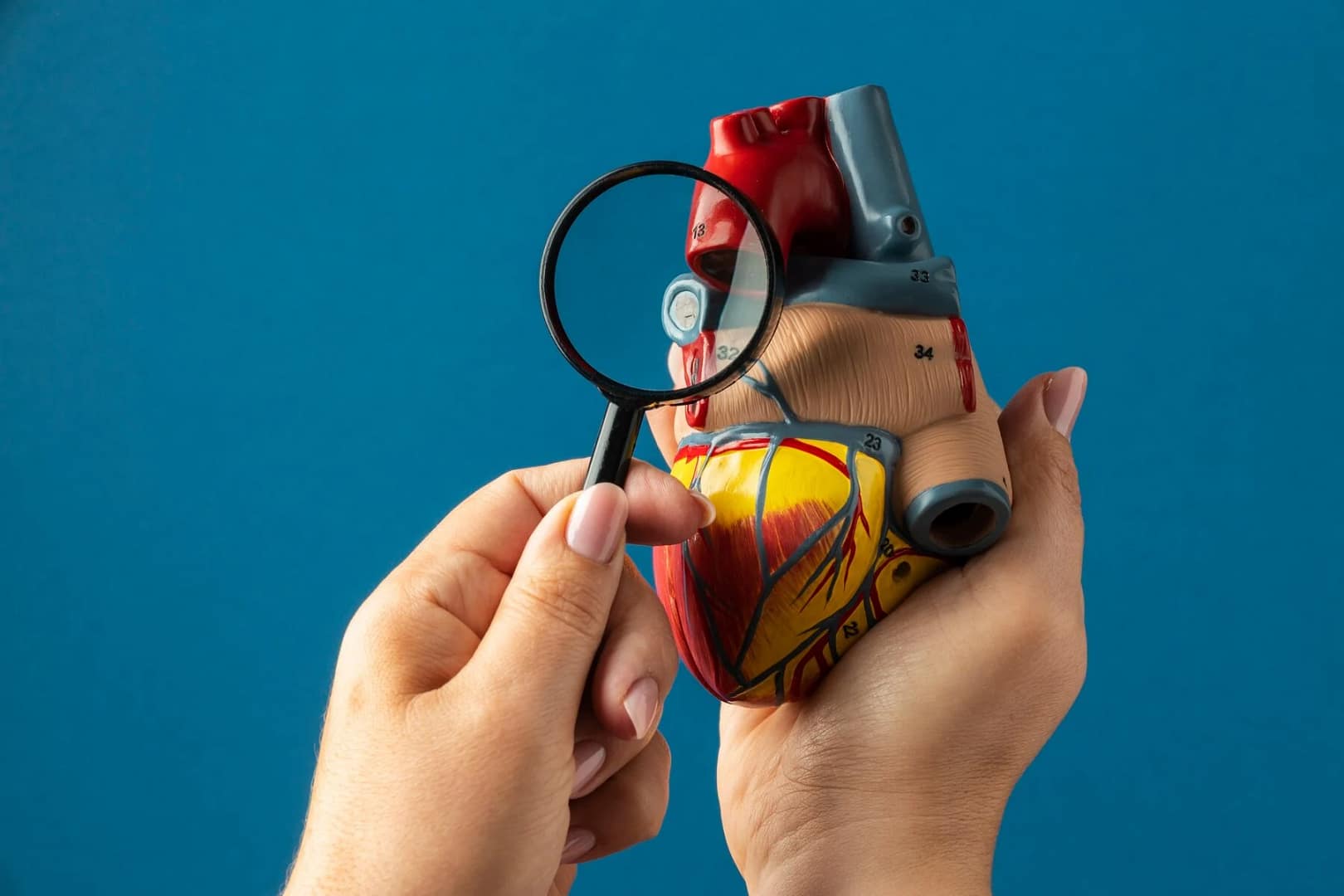 Pioneering 3D-printed endoscope by Dr. Li Jiawen: A revolutionary step ...